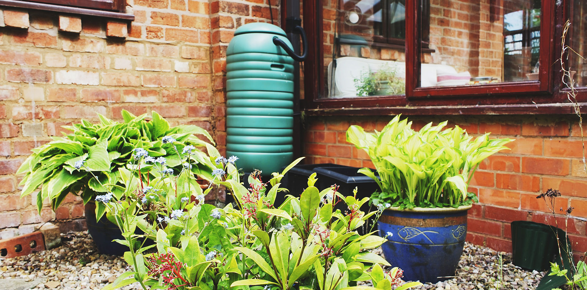 5 Ways L.A. County Residents Can Collect Rainwater in Their Own ...