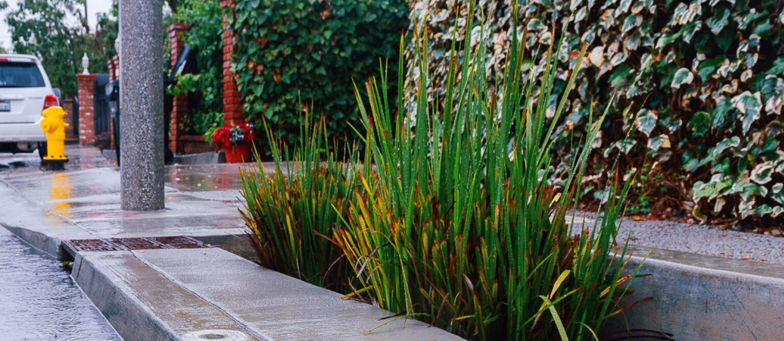 Safe Clean Water LA - LA County's Safe Clean Water Program Website