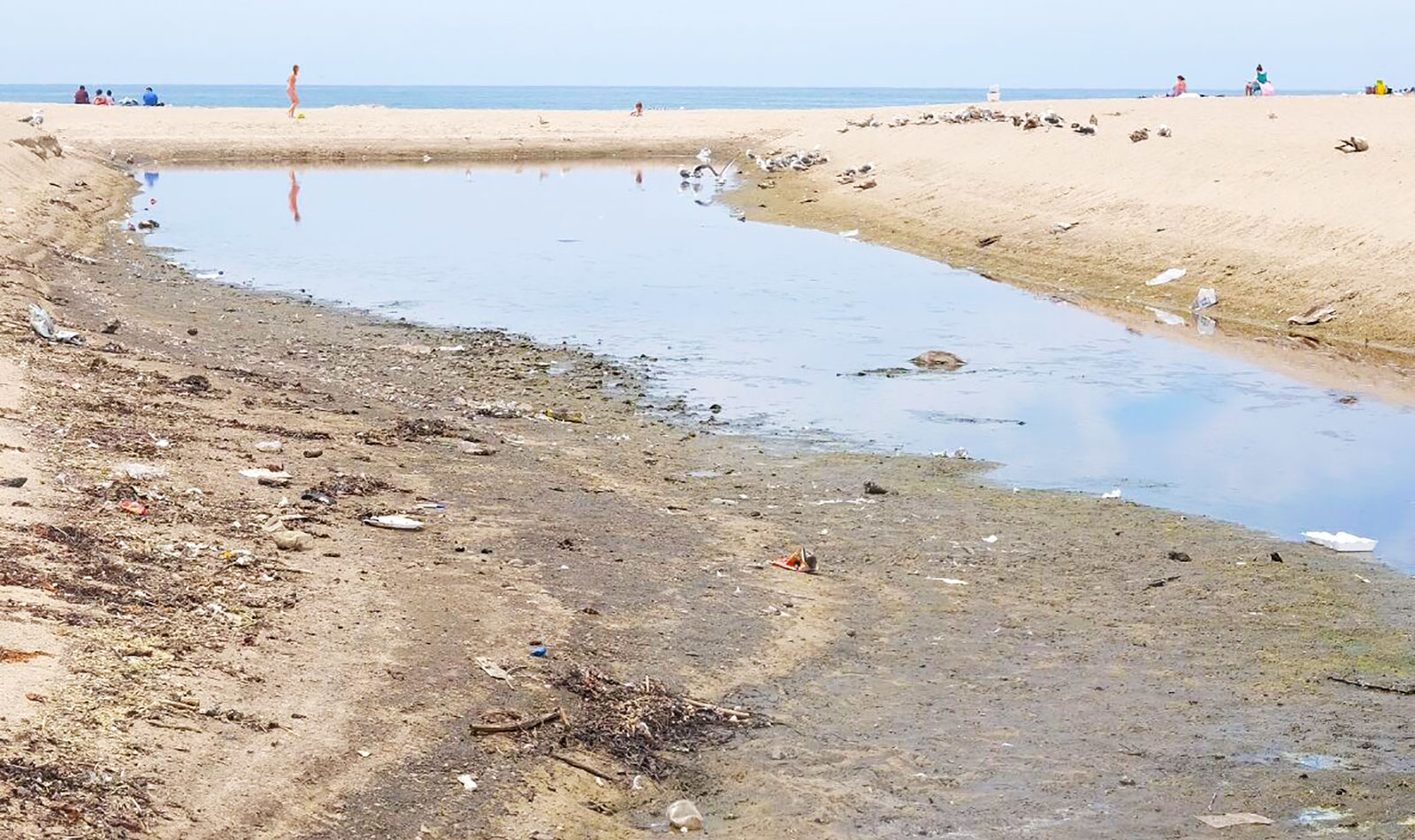 What Does 4,000+ Tons of Trash Look Like? - Safe Clean Water Program